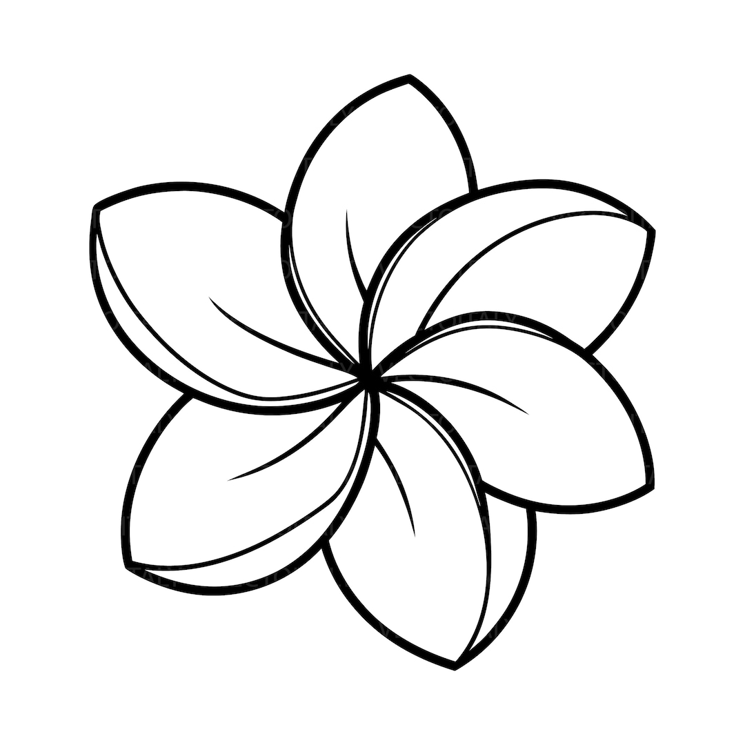 Frangipani Flower. Cut Files for Cricut. Clip Art Silhouette (eps, Svg ...