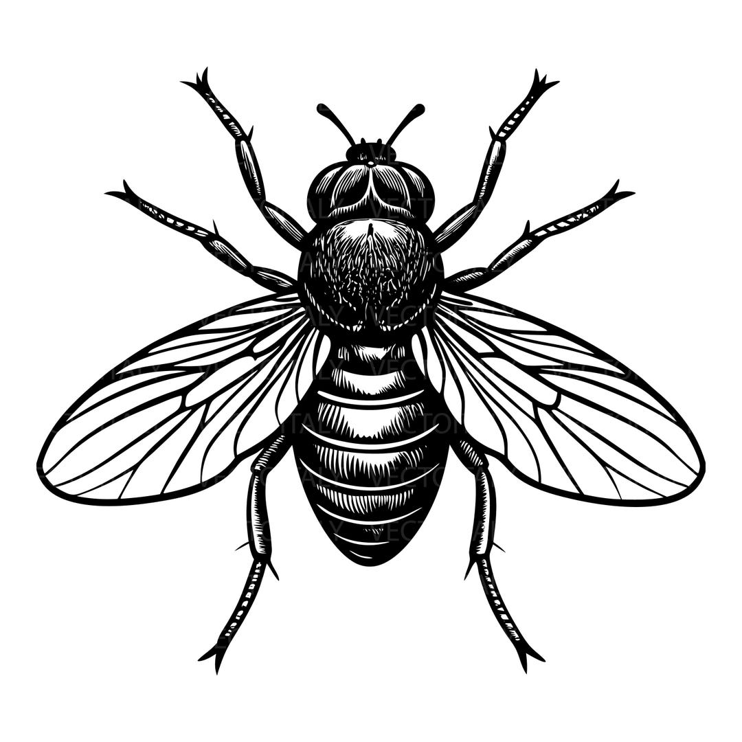 Fly Vector, Raster, SVG, PNG, JPG - Etsy