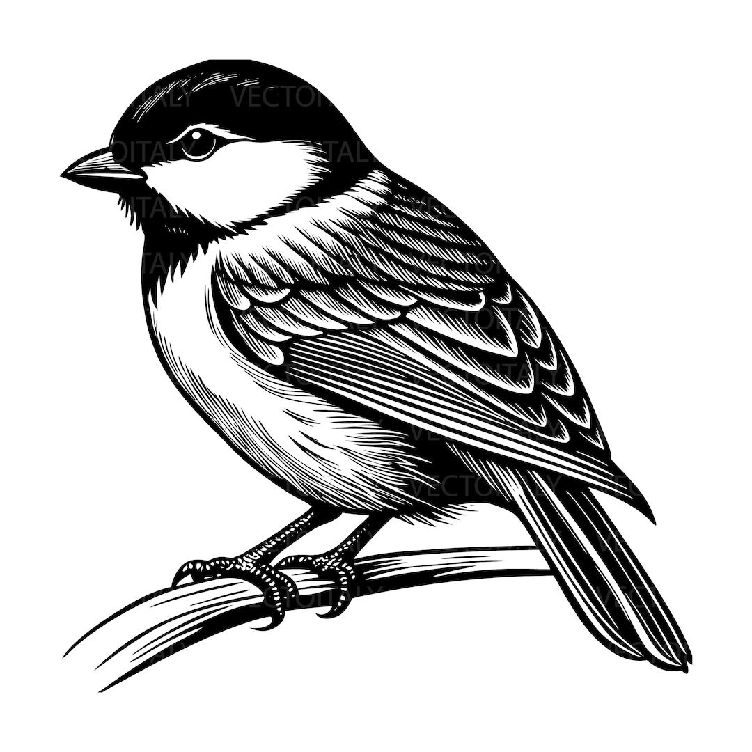 Chickadee Bird SVG, PNG, EPS, Instant Download, Digital Download, Bird ...