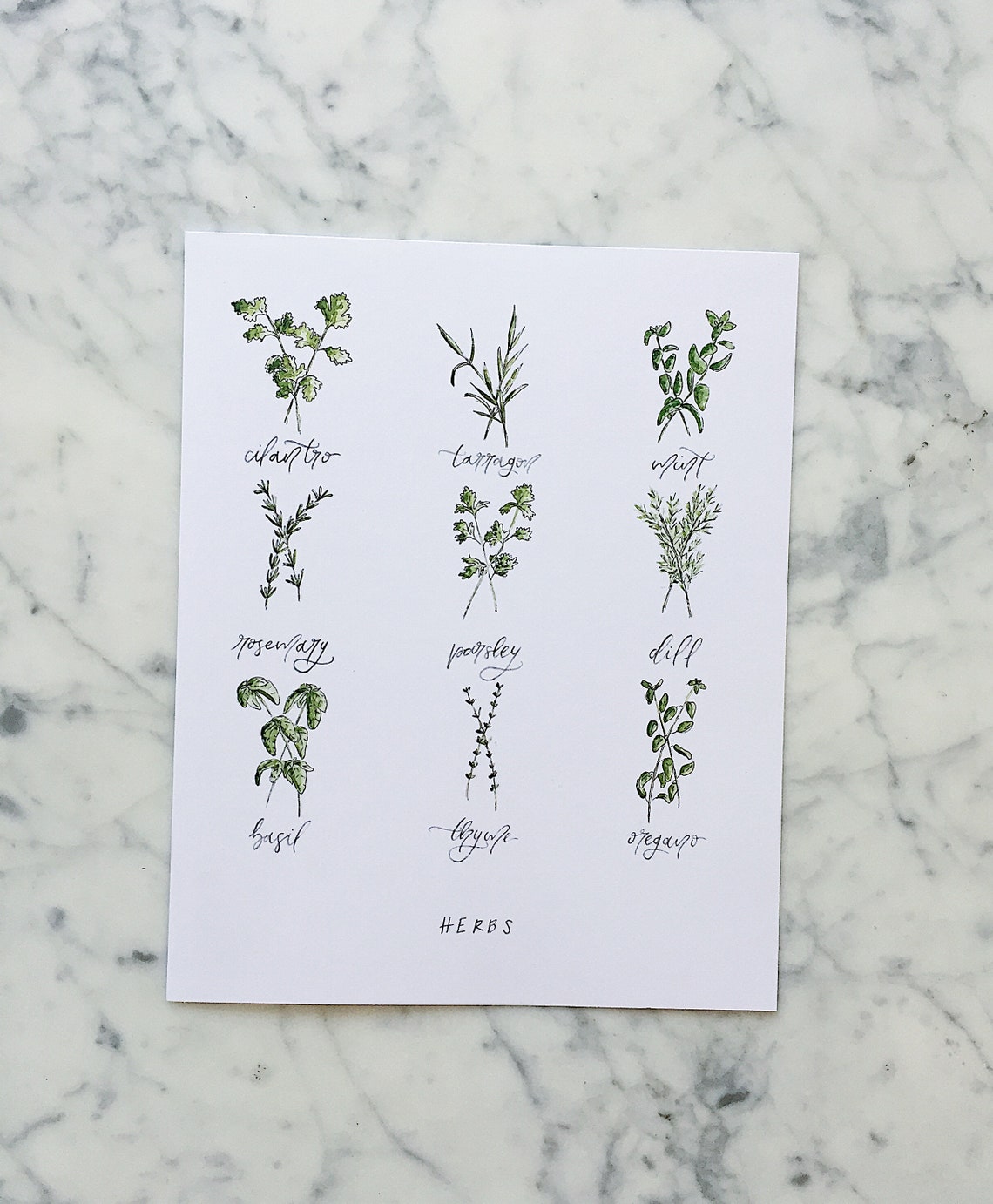 Herb Art Print Types of Herbs Watercolor Painting Herb - Etsy