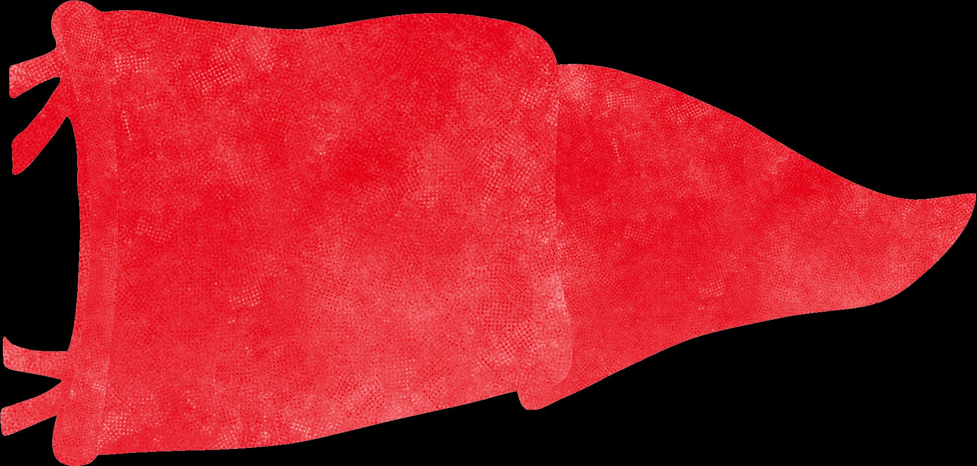 Watercolor Pennant PNG Digital File | High School Mascot | Pennant ...