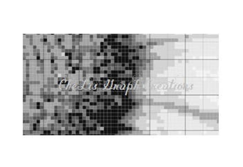 Daisy Art Graphghan Blanket Chart Cross Stitch Knit - Etsy