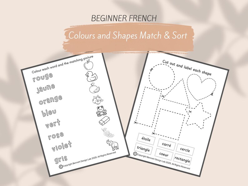 Learning Colours and Shapes Printable PDF Beginner French Educational ...