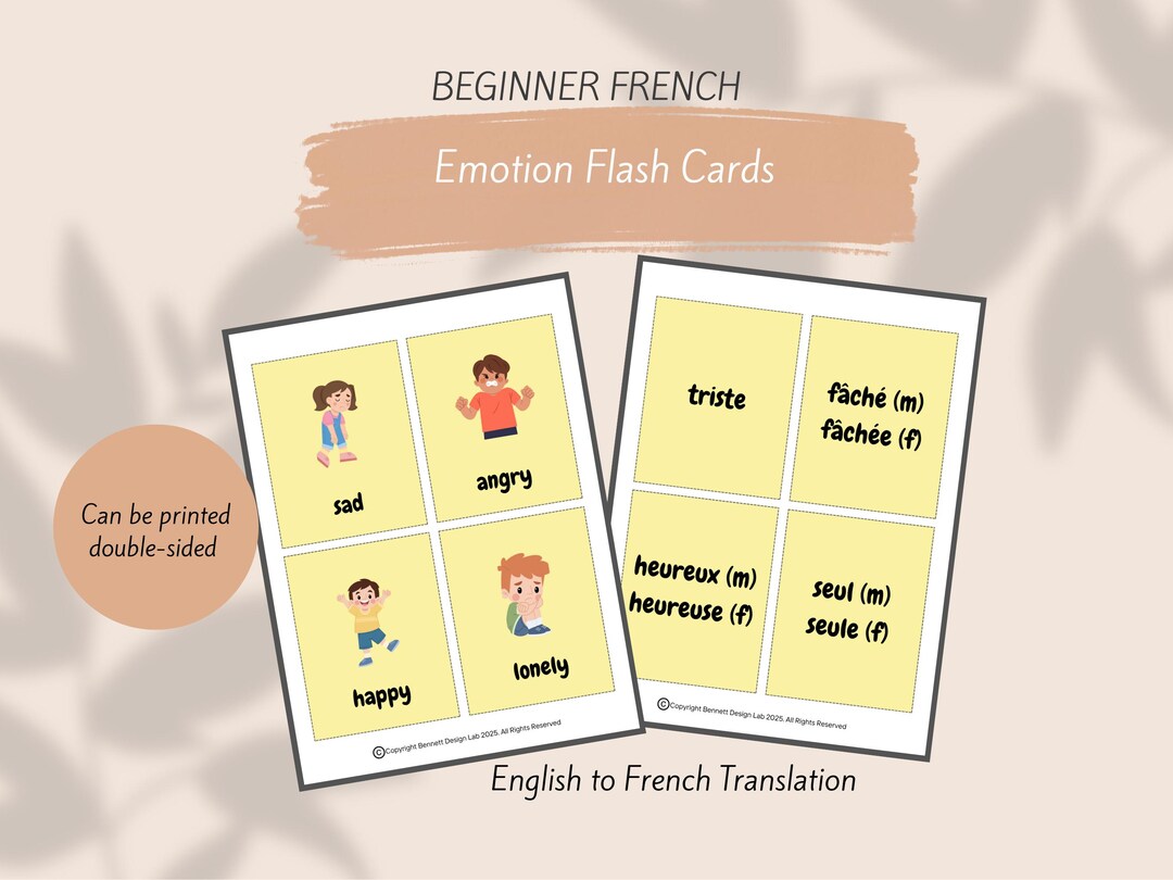 Emotions Flashcards: French-english and English-french Translations - Etsy