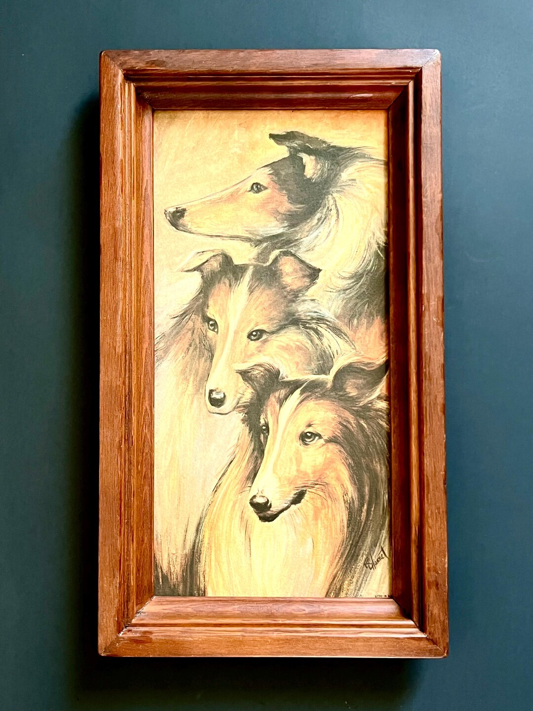 Canine Artwork Collie Dog Dogs Hunt Hunting Hunter Estate Country Manor ...