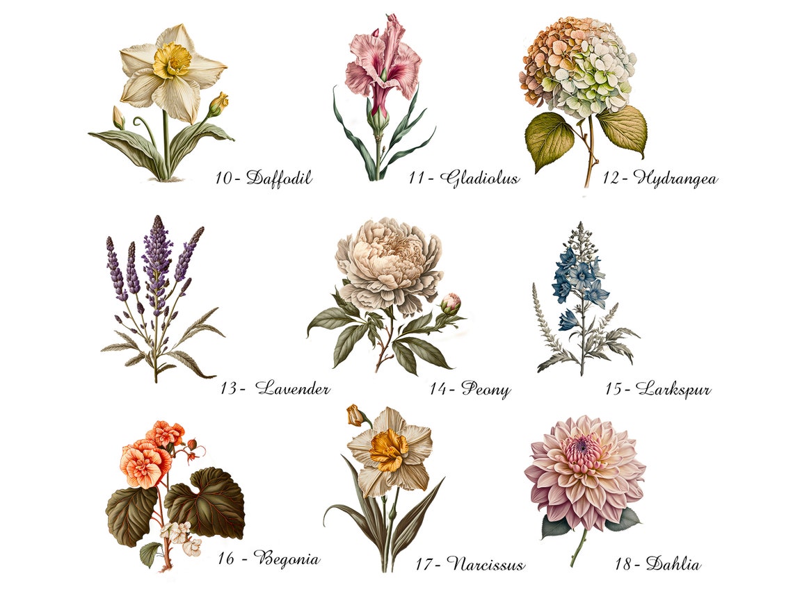 Custom Family Flower Bouquet Set of 2 Birth Flower Digital - Etsy