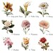 Custom Family Flower Bouquet Set of 2 | Birth Flower Digital Wall Art ...