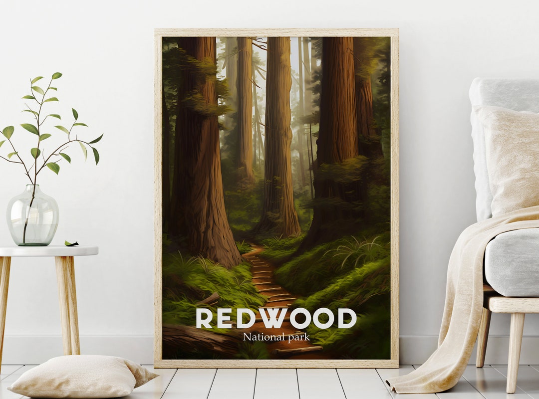 Redwood Print, Northern California Print, Redwood National Park, Travel ...