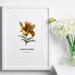 Custom Family Flower Bouquet Set of 2 Birth Flower Digital - Etsy