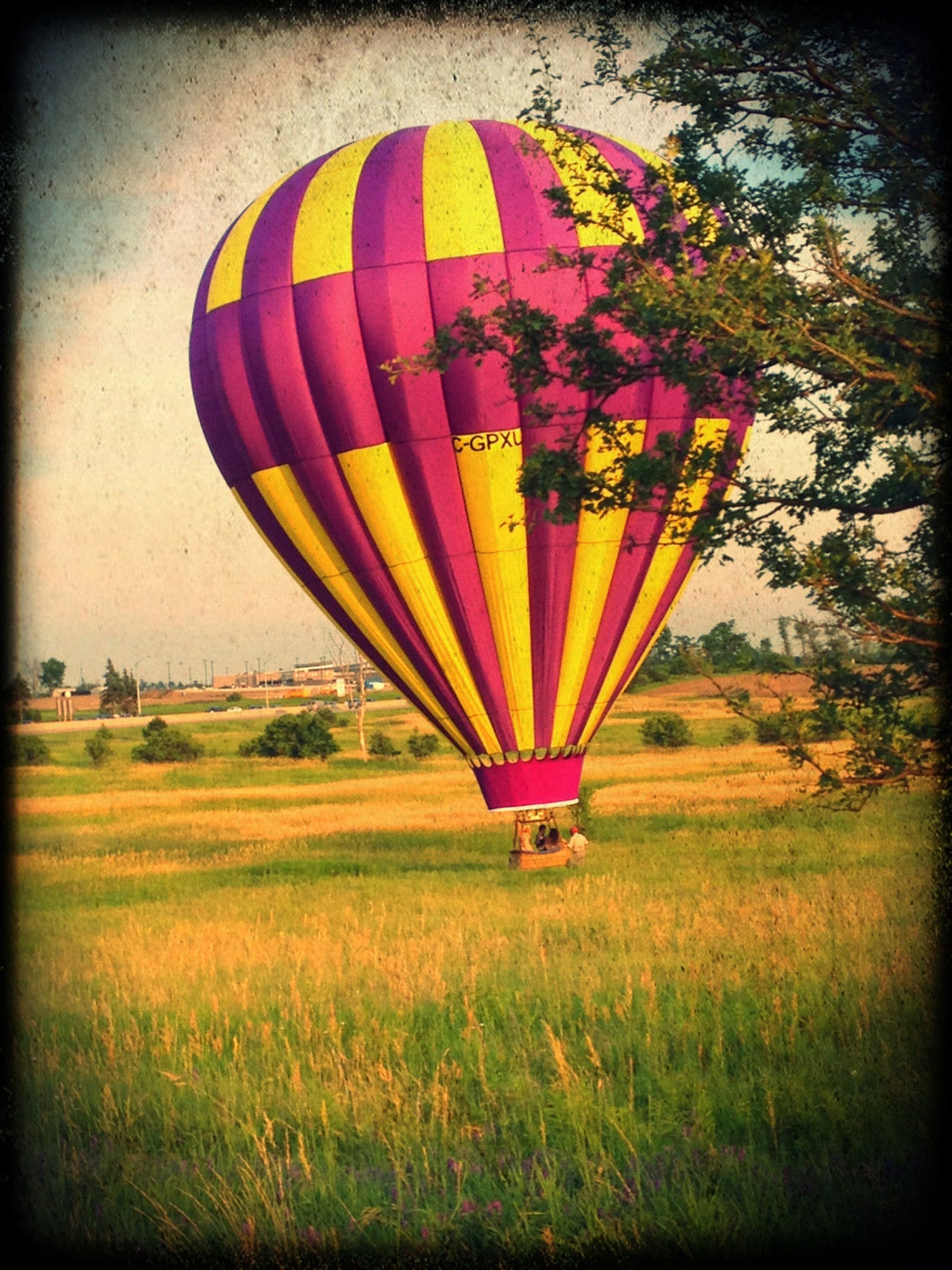 A FULL READING, Ask Your Angels Anything, What Do You Need to Know, a ...