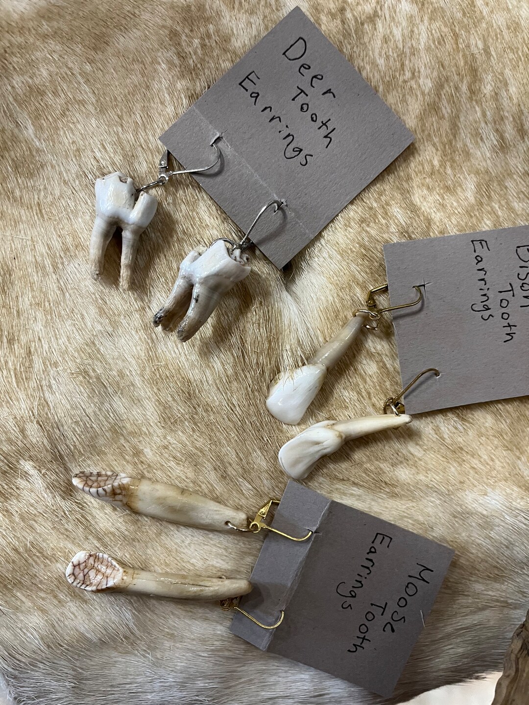 Real Moose, Bison, Deer Teeth Earrings - Etsy