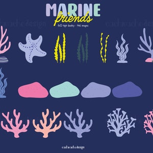 Summer Ocean Clipart Bundle, Cute Marine Animals PNG, Kawaii Sea ...