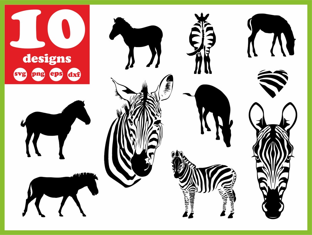 Zebra Svg File Face Digital Animal Download Wildlife - Etsy