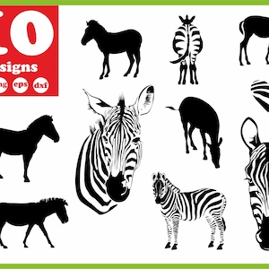 Zebra Svg File Face Digital Animal Download Wildlife - Etsy
