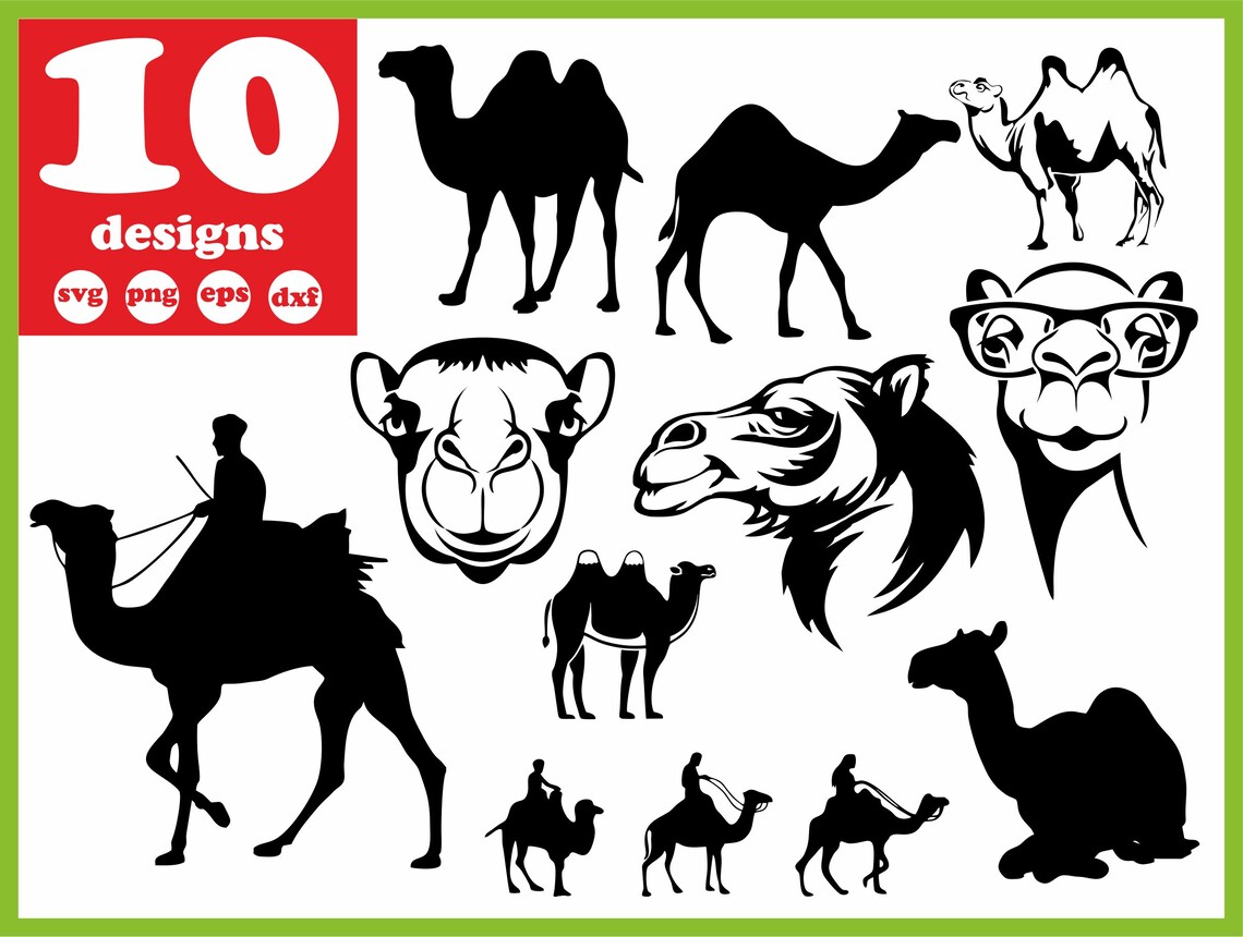 Camel Svg File Animal Vector Zoo Decal for Cricut Clipart | Etsy