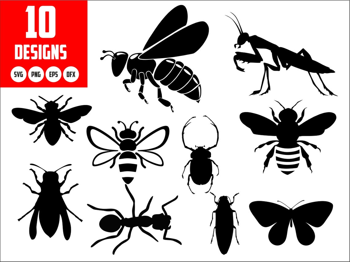 Insect Svg File Insect Vector Insect Download Insect | Etsy