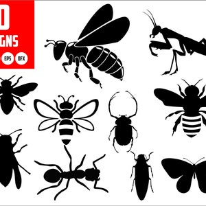 Insect Svg File, Insect Vector, Insect Download Insect Silhouette ...