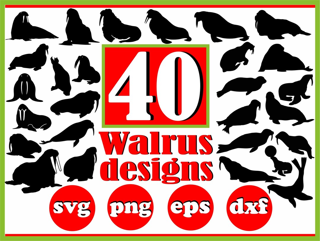 Walrus SVG Bundle Walrus SVG Walrus Clipart Walrus Vector Svg Dxf Png ...