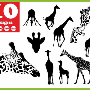 Giraffe Svg File Wildlife Digital Africa Download Baby Animal ...