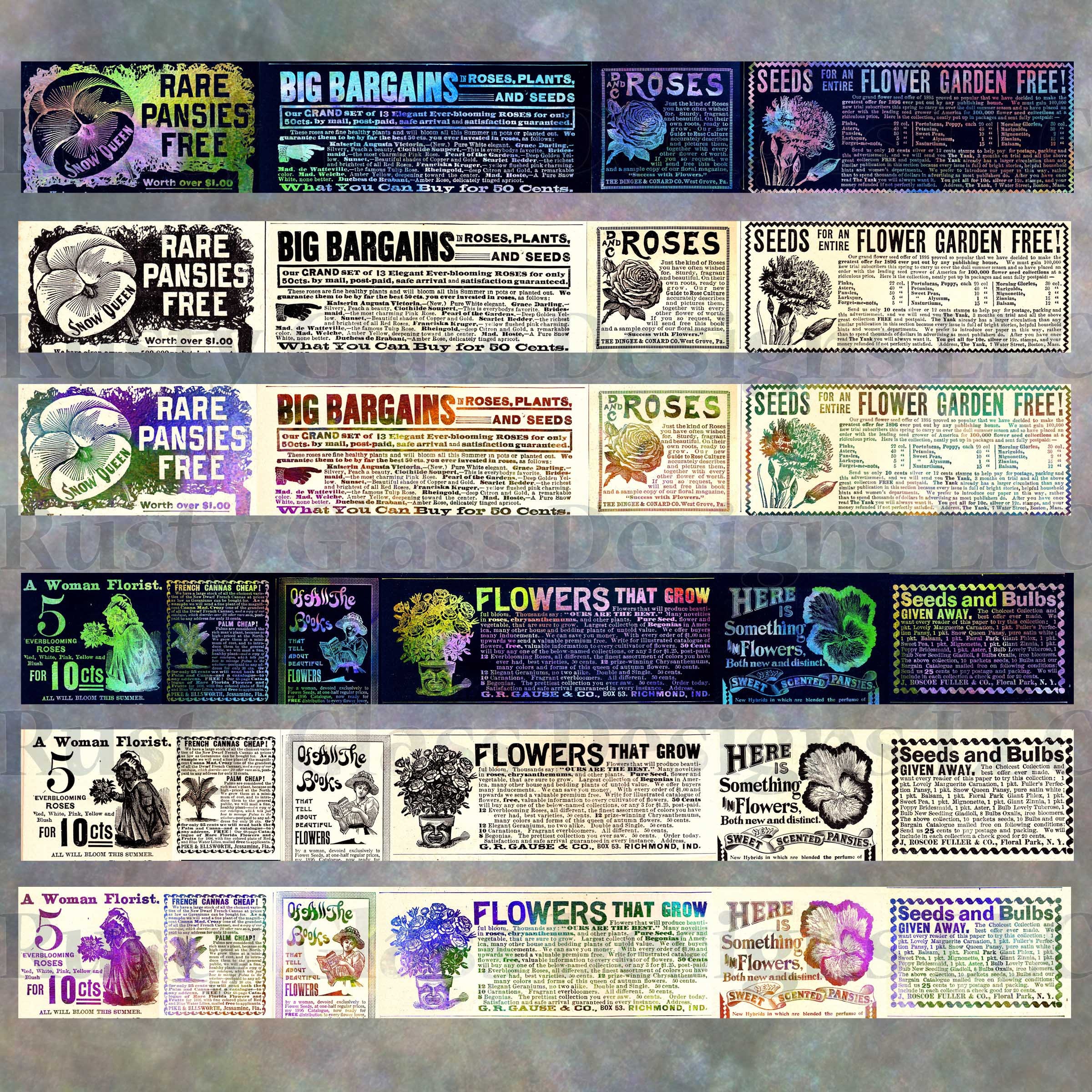 Digital Borders vintage Seed Ads 1 / Vintage - Etsy