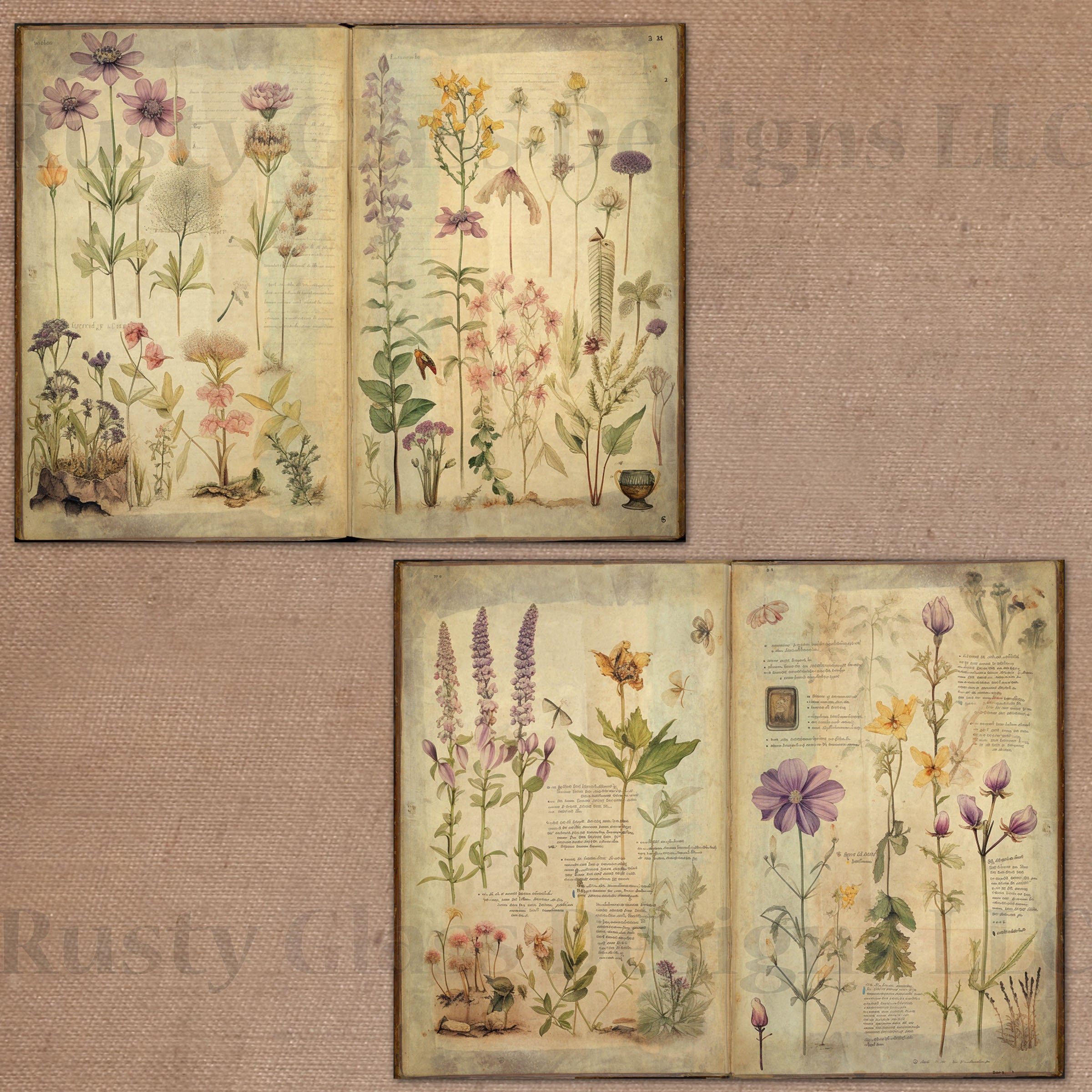 Botanical Garden Journal Pages / Printable Junk Journal / Botanist ...