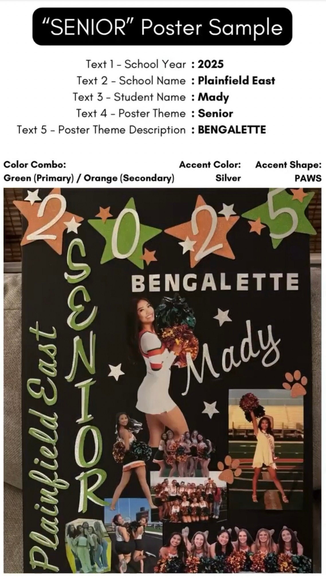 Student Poster Kit - DIY CUTOUTS ONLY - Etsy