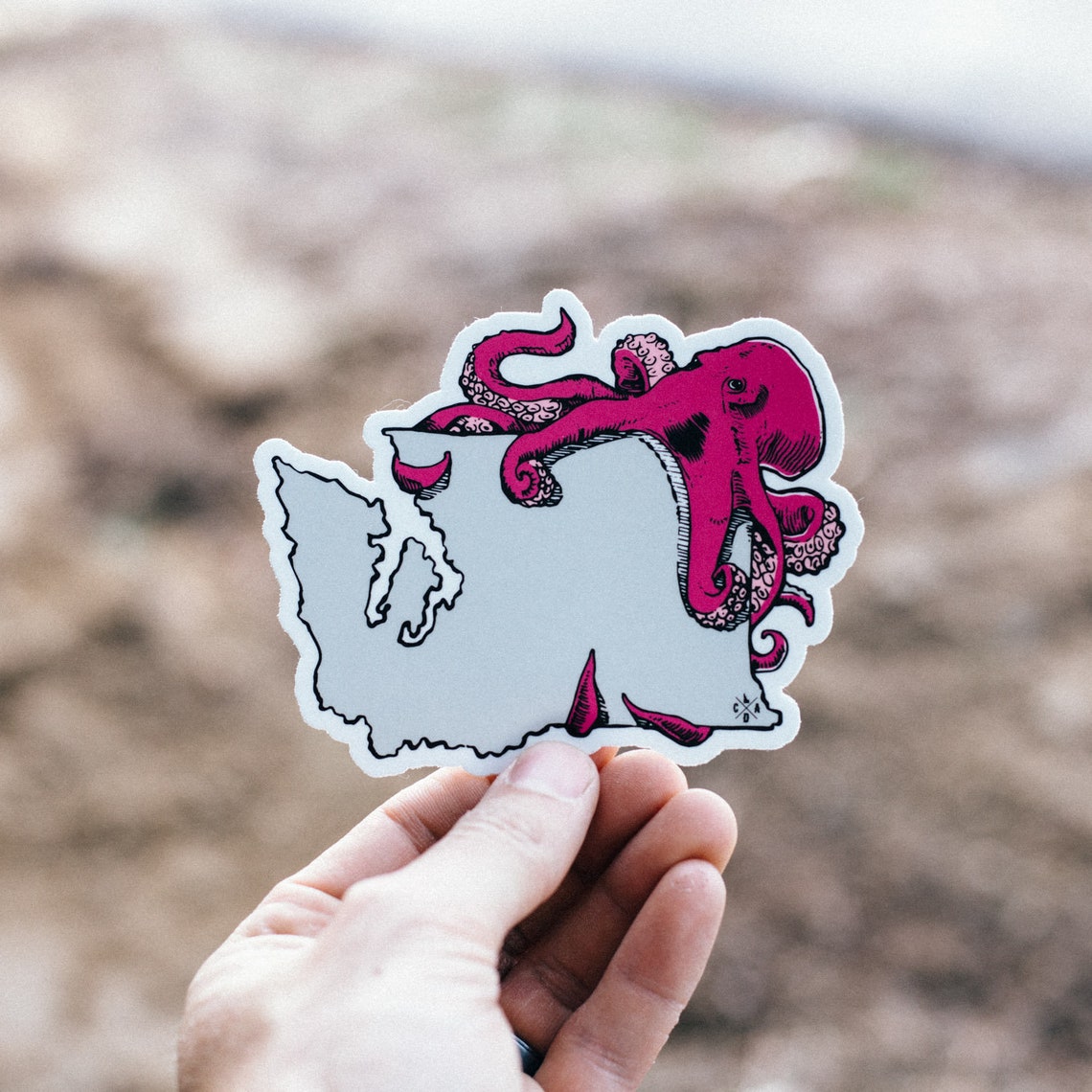 Washington Octopus Sticker - Etsy