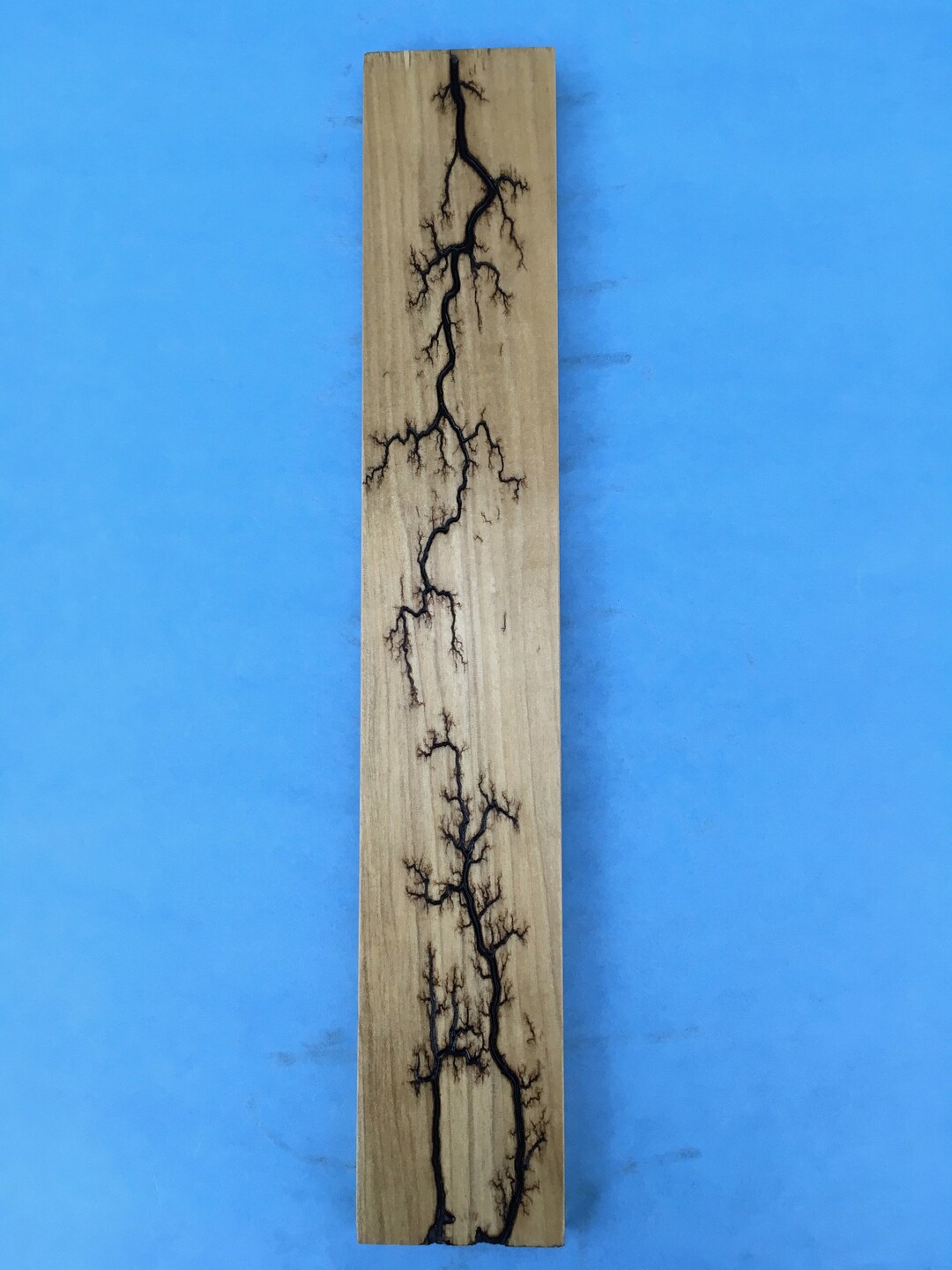 Poplar With Lichtenberg Pattern - Etsy