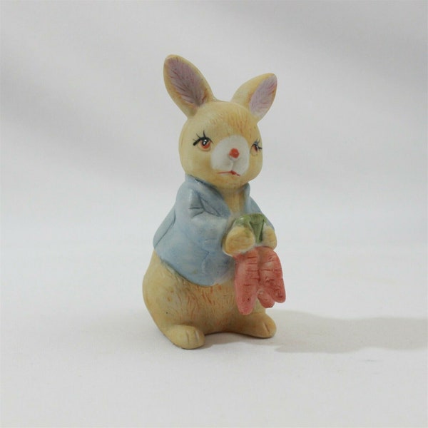 Peter Rabbit Blue Coat - Etsy