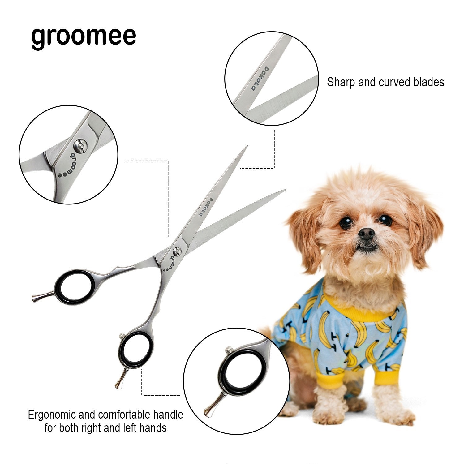 How to minimise shedding in your Springer spaniel - Easy Spaniel Training