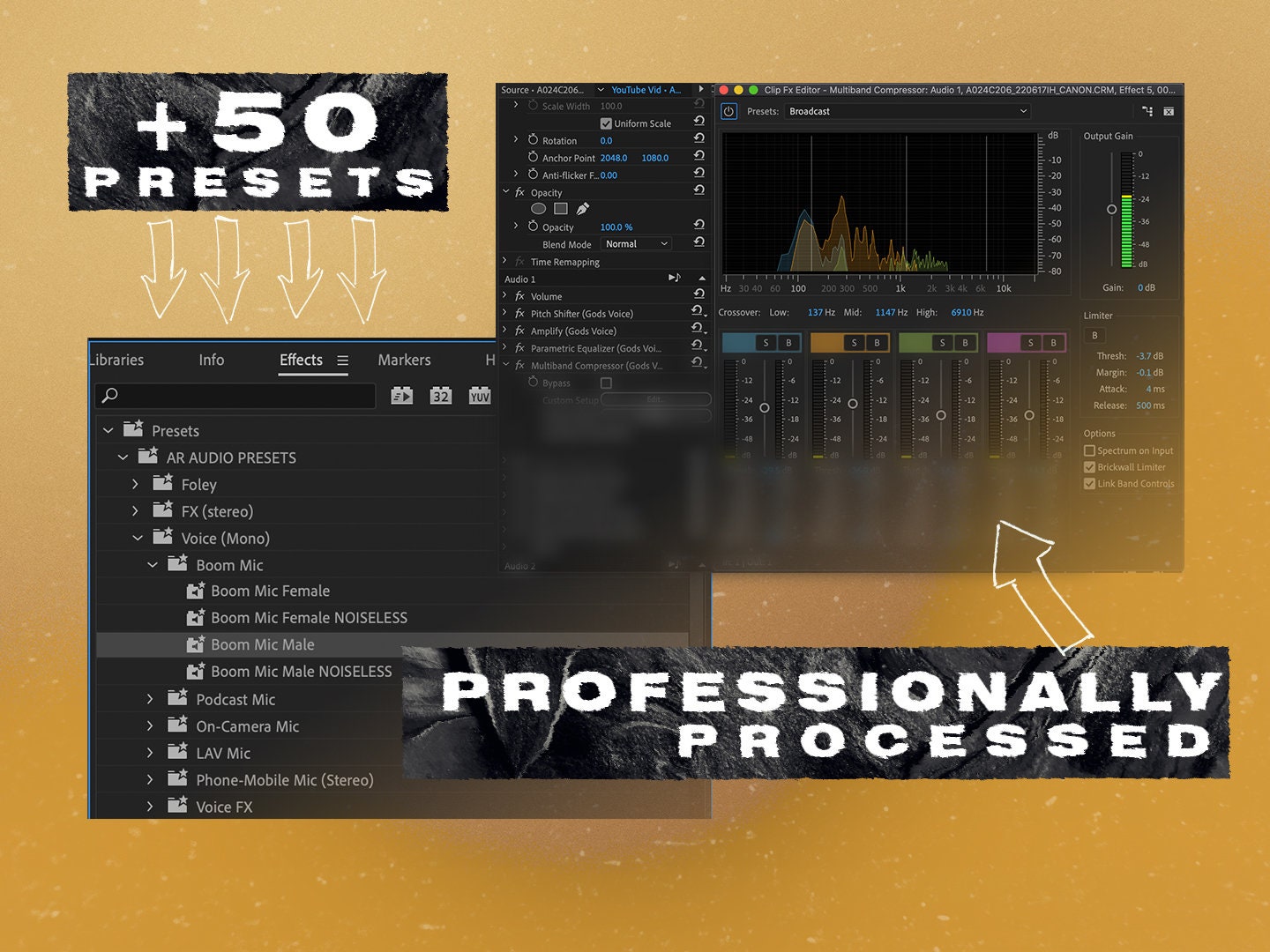 50+ Professional AUDIO Presets - Boom, LAV, On-camera, FX, & More! 1 ...