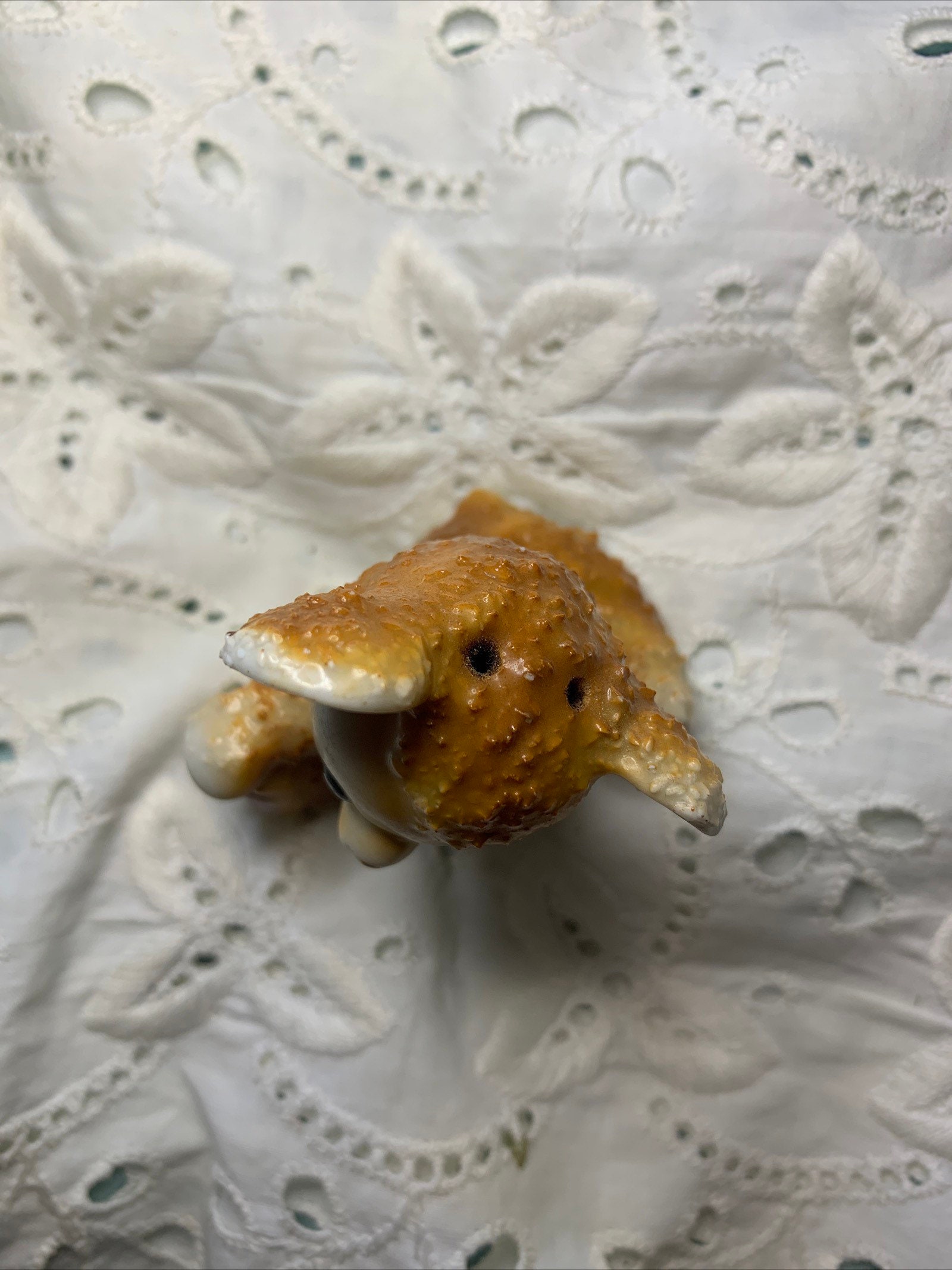Vintage Sugar Texture Glaze Baby Bear Cub Shaker Made in Japan - Etsy