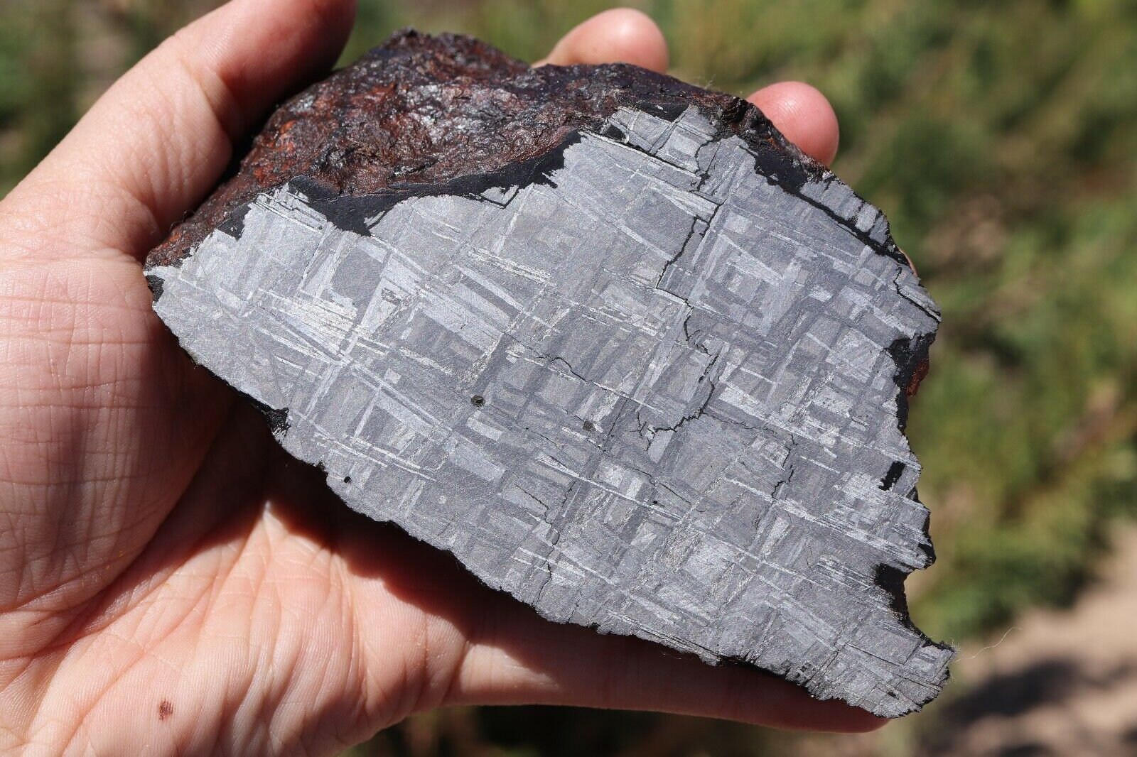 Custom Muonionalusta Meteorite Shapes - Etsy