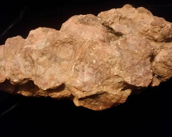Dinosaur Coprolite Rough fossil Poo, Poop Genuine Specimen Jurassic Usa ...