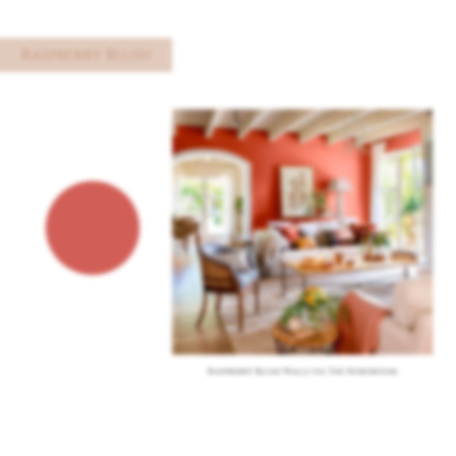 2023 Benjamin Moore Color Year, Raspberry Blush, Benjamin Moore Paint ...