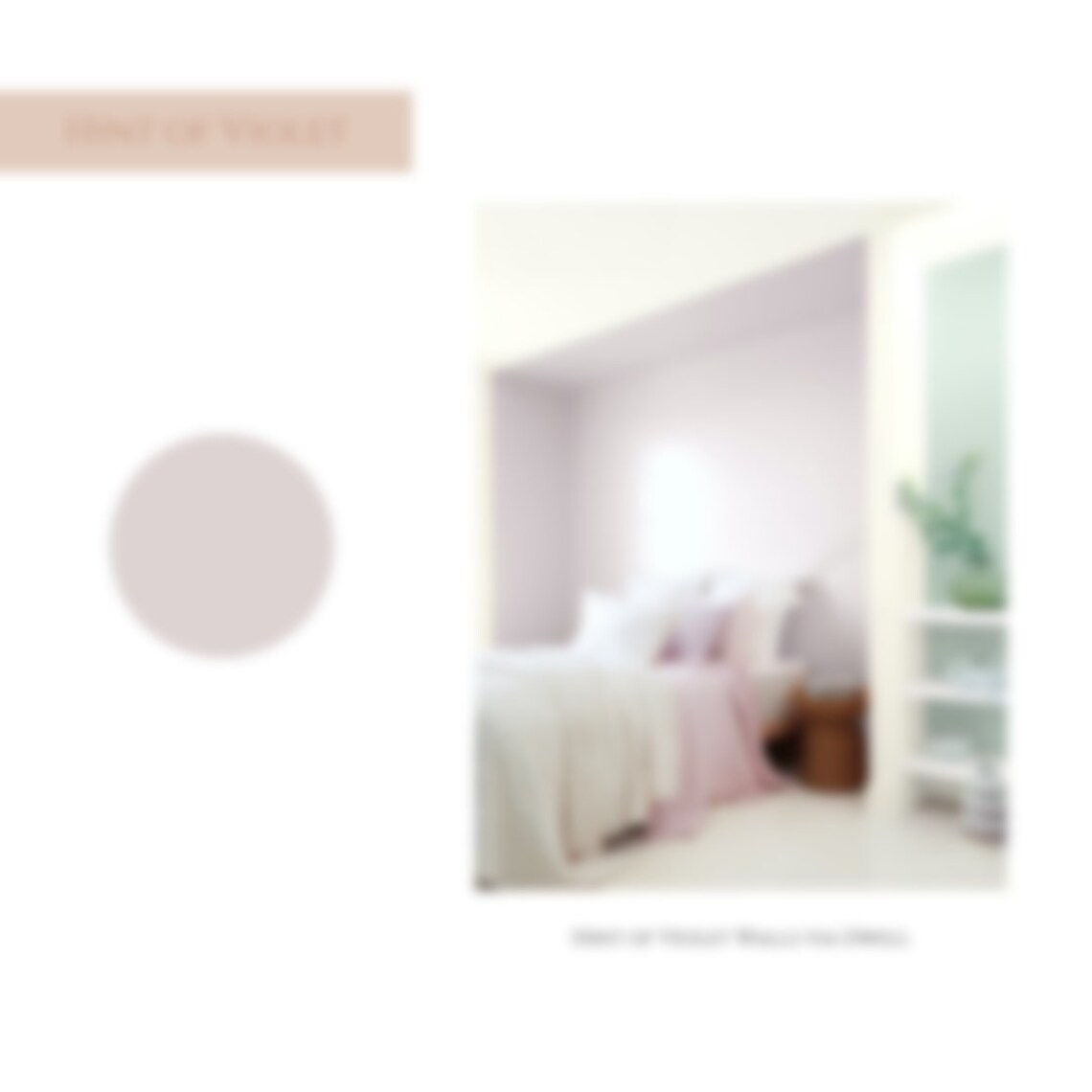 2023 Benjamin Moore Color Year, Raspberry Blush, Benjamin Moore Paint ...