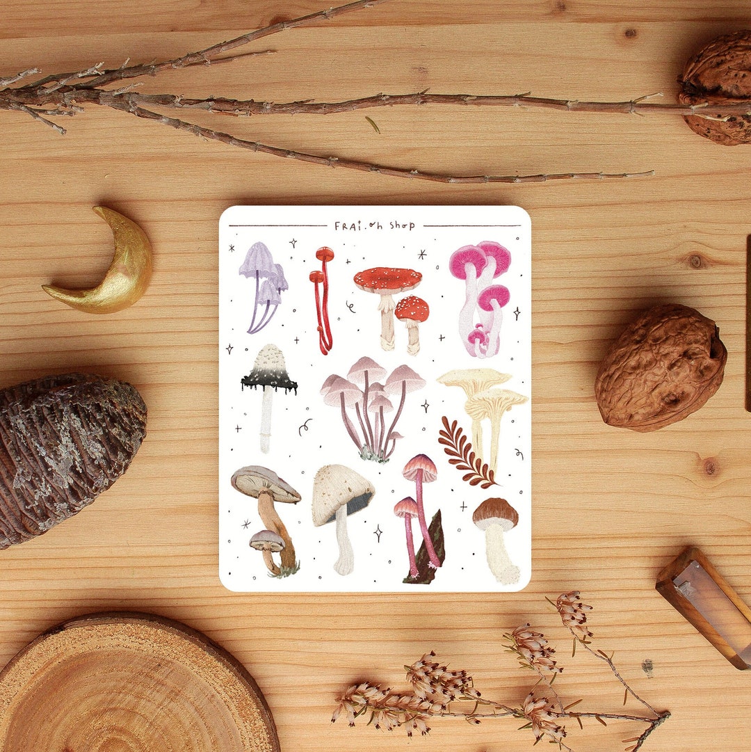 Magical Mushroom Sticker Sheet: Forest Fungi Journal Stickers - Etsy