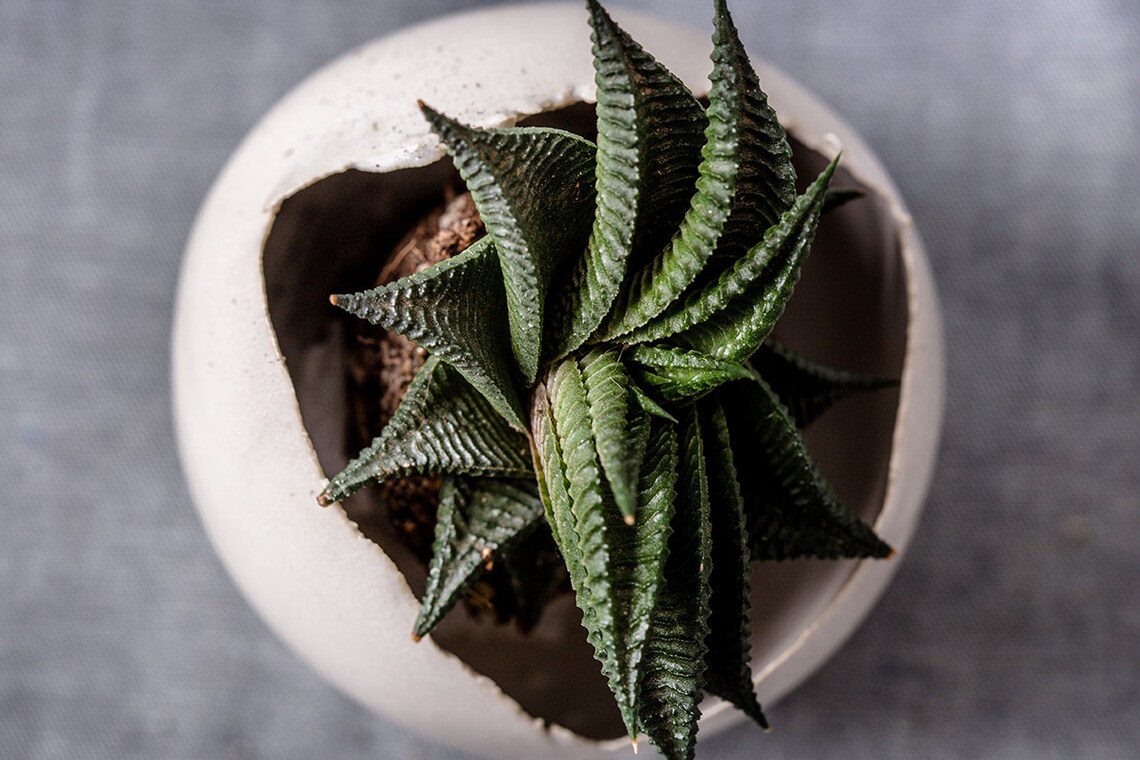 Medium White Ceramic Planter With Drainage Hole and Saucer - Etsy