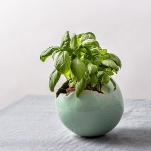 Small Green Ceramic Planter Mini Succulent Pot Round - Etsy
