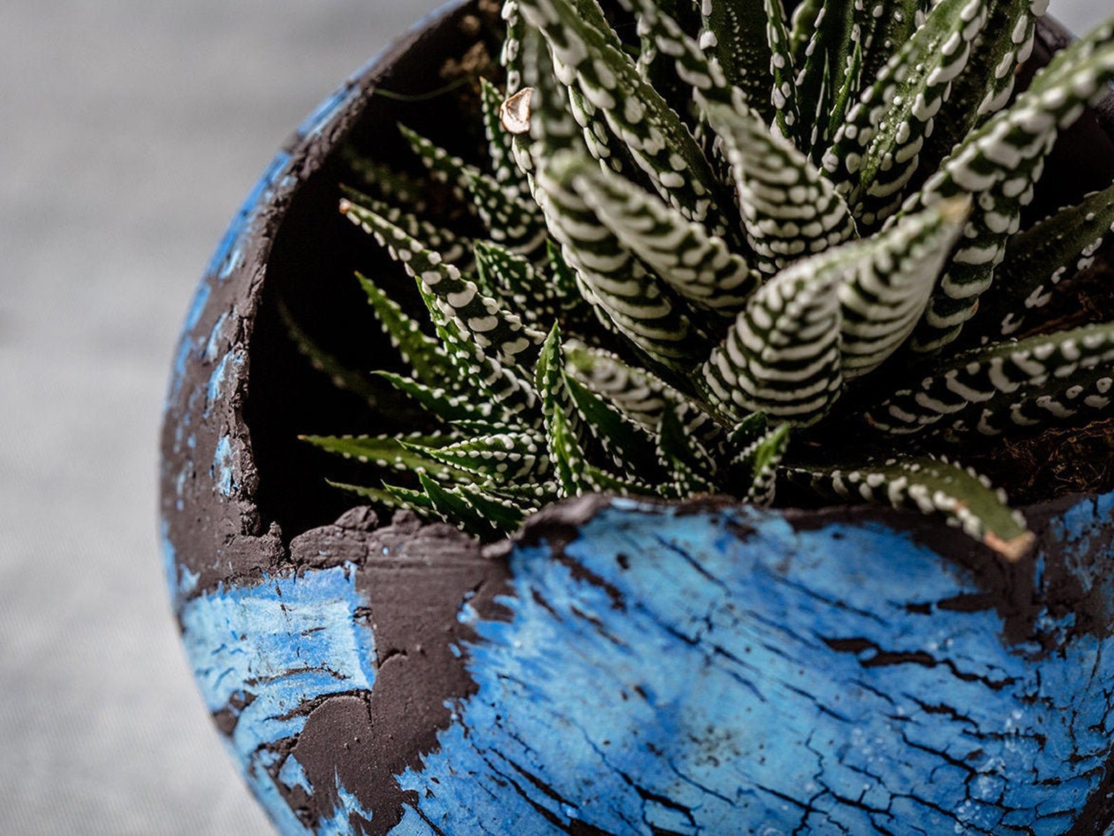 Large Blue and Black Ceramic Pot | Modern Succulent Planter - Etsy