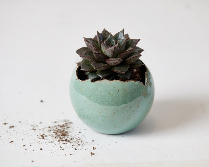 Medium Turquoise Ceramic Planter for Succulent or Plants With Drainage ...