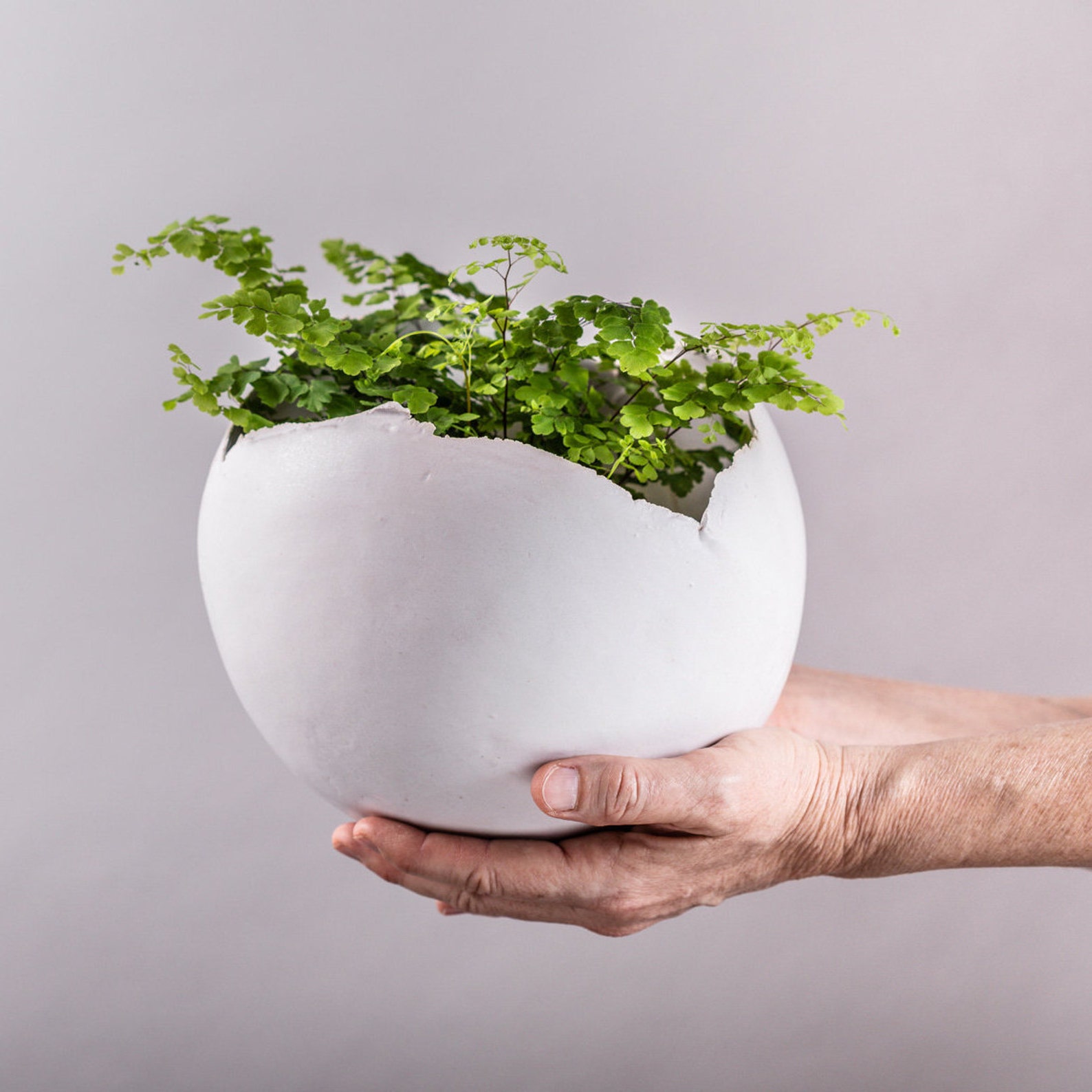 X-large White Ceramic Centerpiece Indoor Vase for Plants and | Etsy