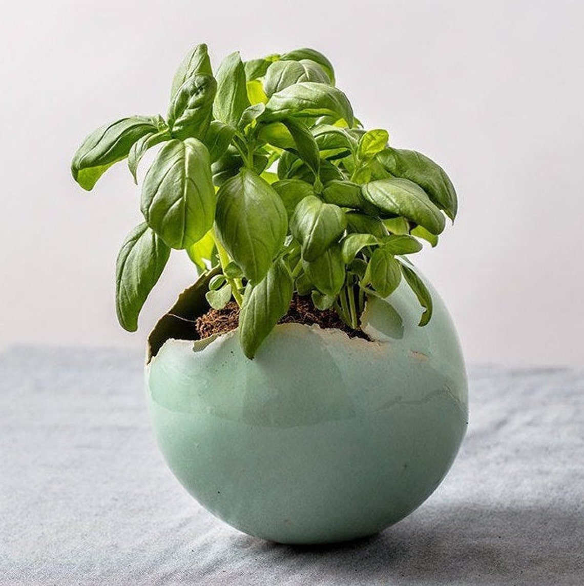 X-Large Green Ceramic Planter Vase For Flowers Home | Etsy