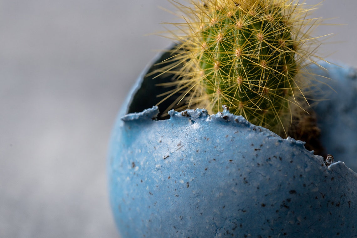 Set of 3 Light Blue Ceramic Indoor Planters Living Room | Etsy