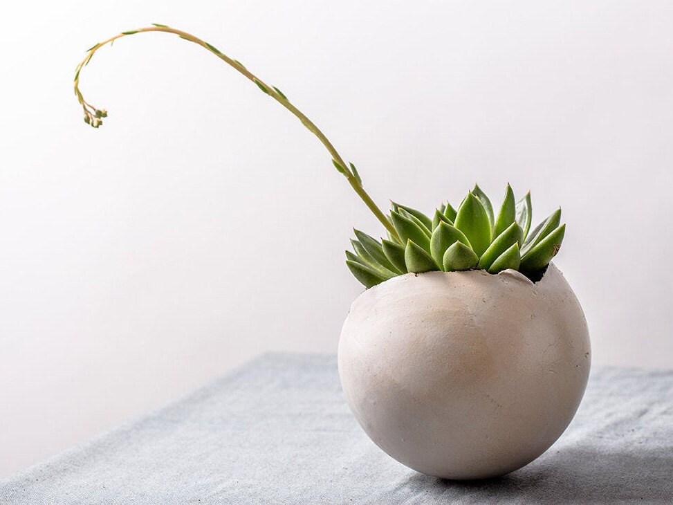 Large White Ceramic Planter for Succulent or Flowers Egg | Etsy