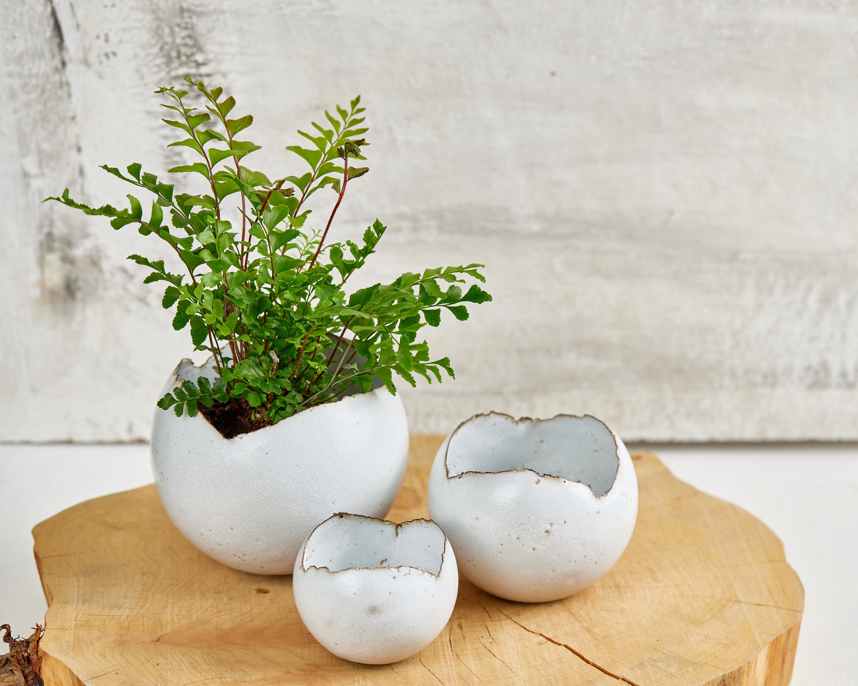 Small Shiny White Ceramic Planter Pot Handmade Round Eclectic - Etsy