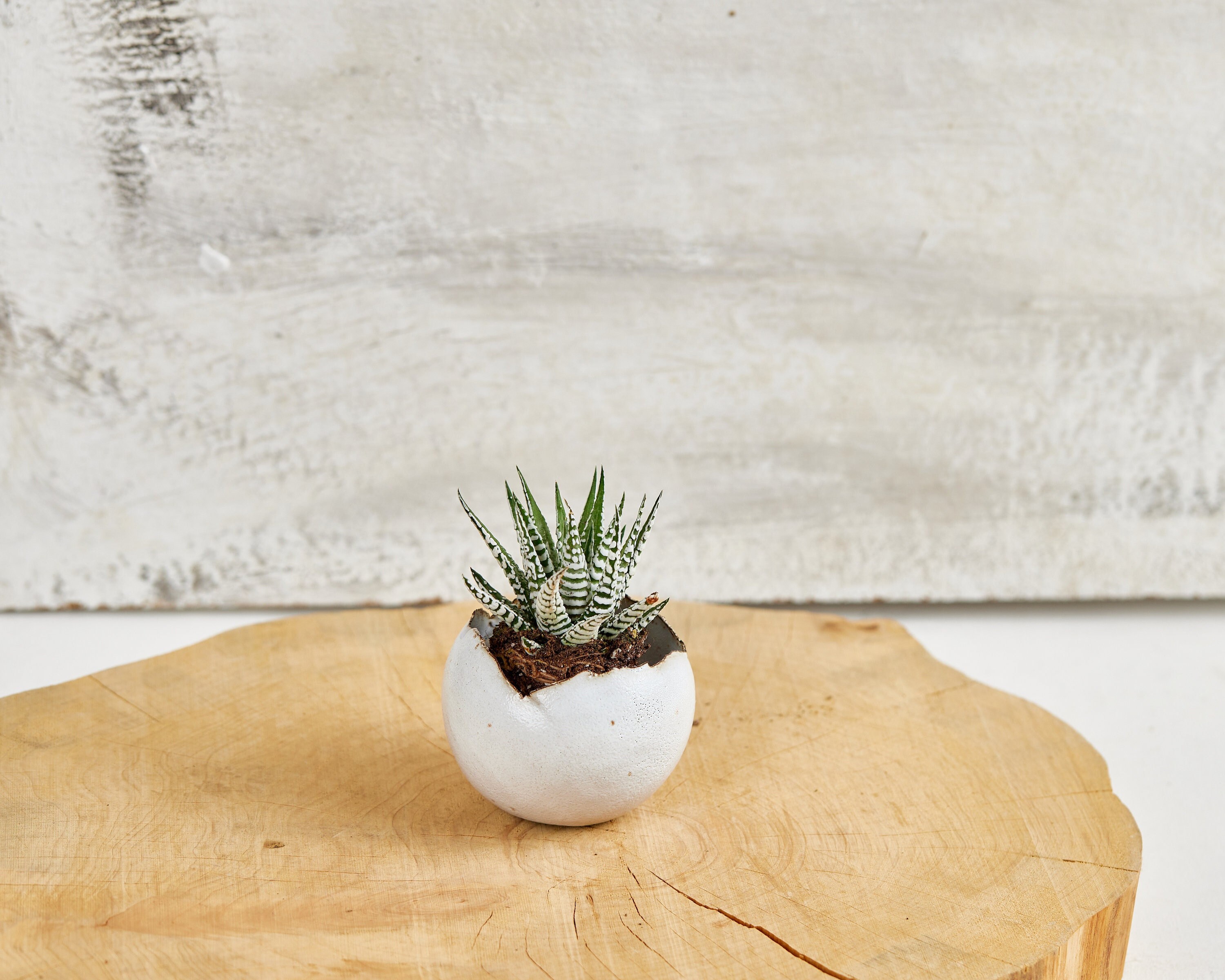Small Shiny White Ceramic Planter Pot Handmade Round Eclectic - Etsy