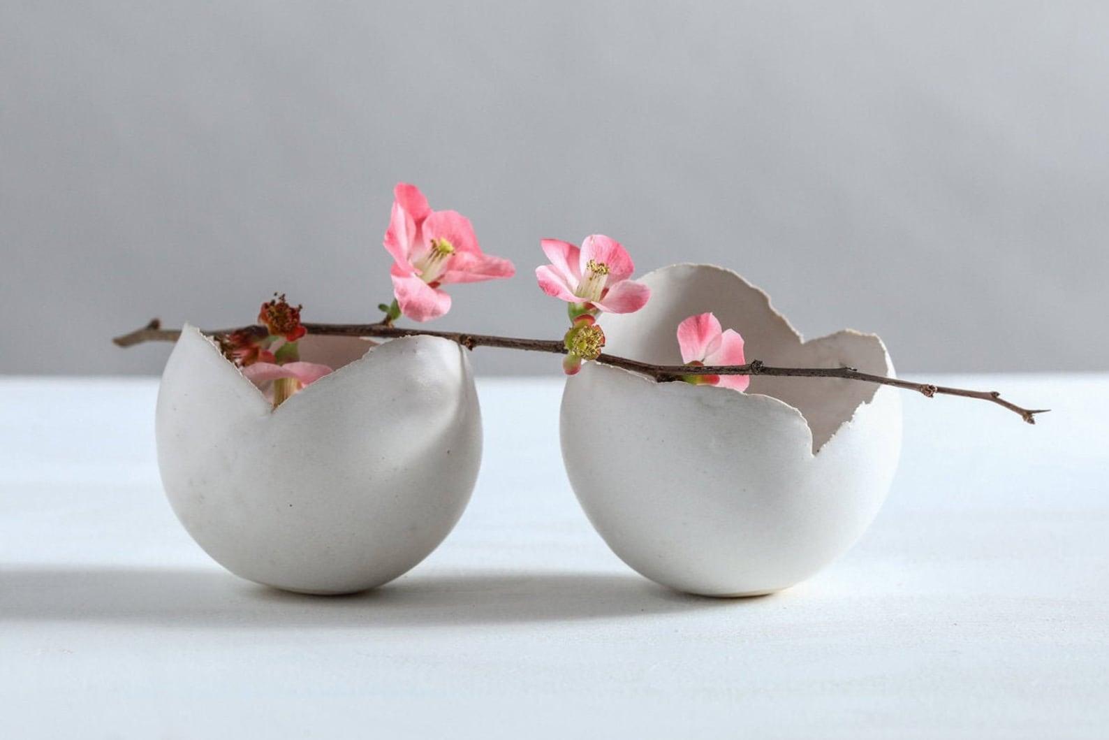 Set of 2 Medium White Ceramic Egg-shape Planters - Etsy