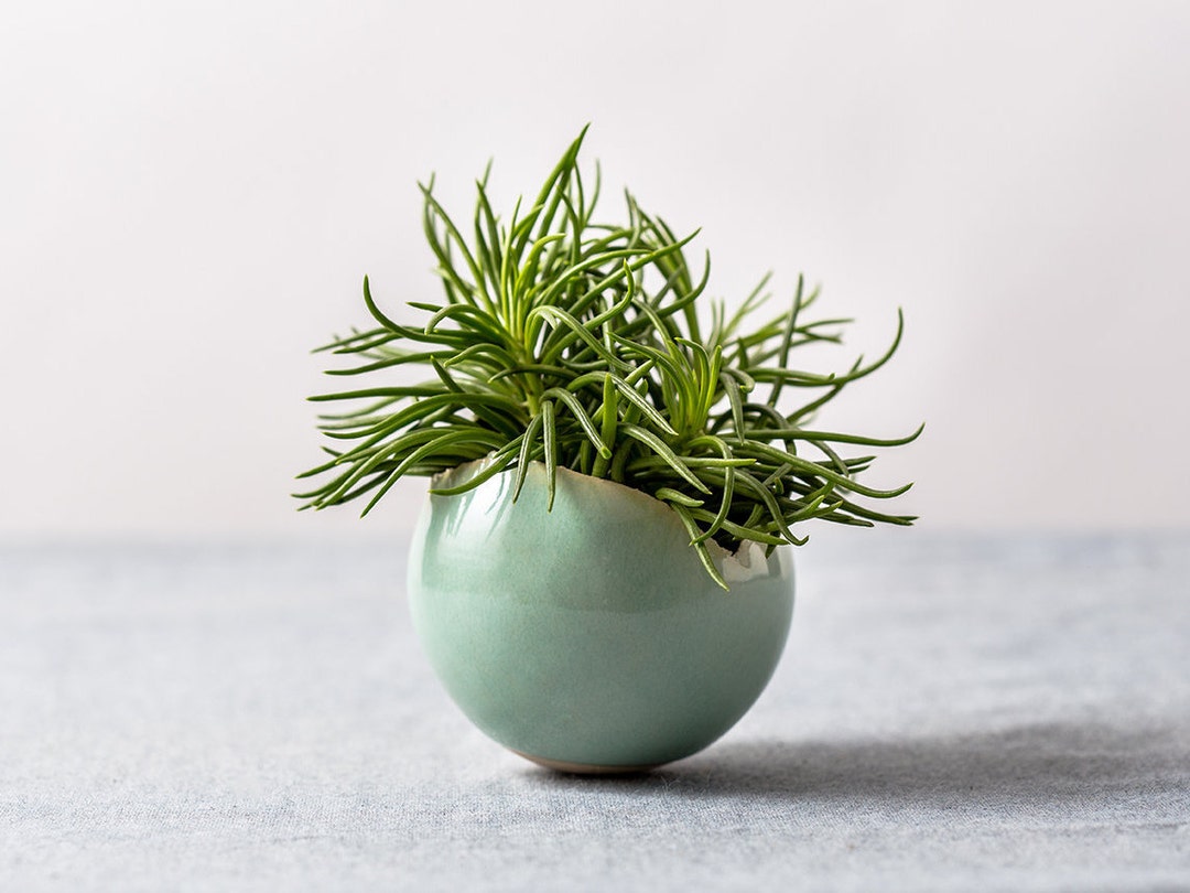 Small Green Ceramic Planter Mini Succulent Pot Round - Etsy