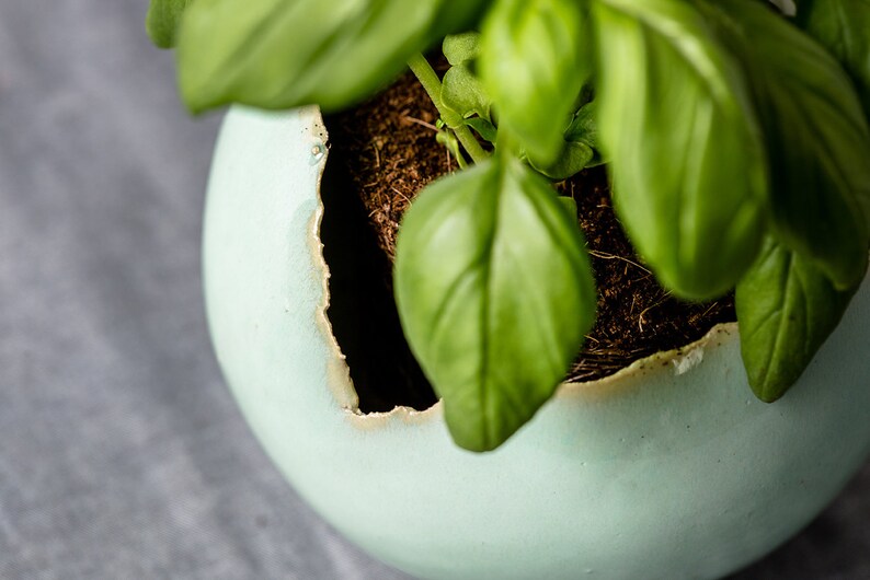 Set of 3 Light Green Ceramic Planters Modern Centerpiece and | Etsy